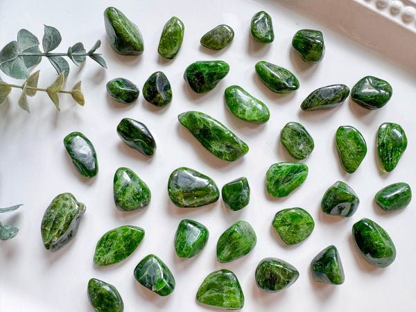 Chrome Diopside Tumbled Stone || Grade A - Angelic Roots