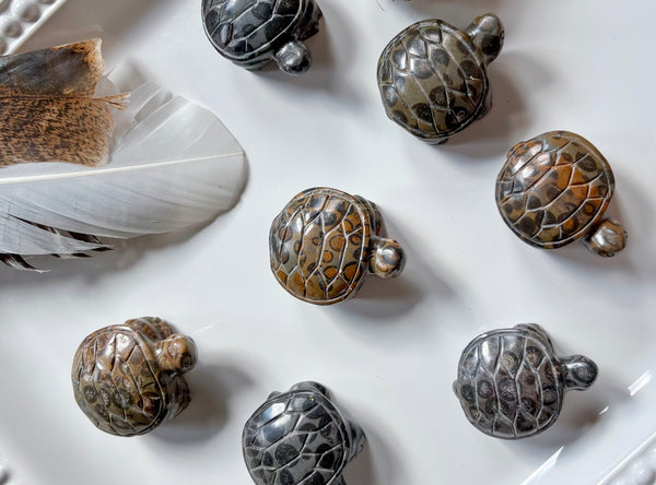 Products - Angelic Roots