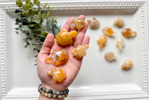 Mini Golden Healer Turtle Carving || Brazil - Angelic Roots