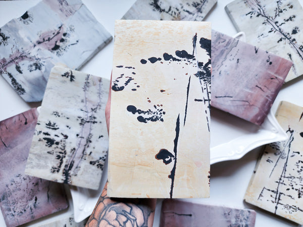 Picture Jasper Slabs - Angelic Roots