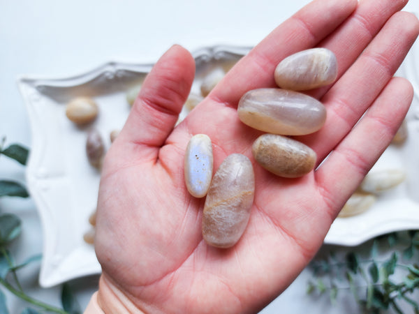 Moonstone Round Tumbled Stone - Angelic Roots