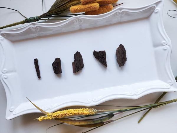 Druzy Permineralized Conifer Wood with Mummified Wood - Angelic Roots