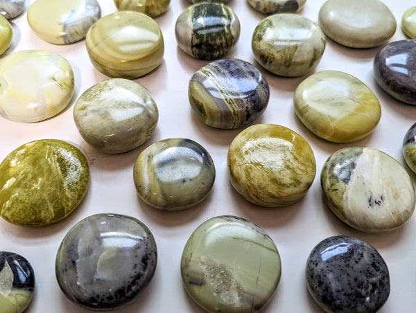 Serpentine UFO Palm Stone - Angelic Roots