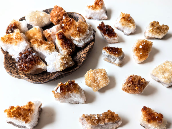 Sale - Angelic Roots