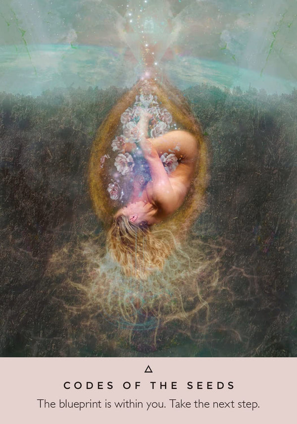 The Rose Oracle: A 44-Card Deck and Guidebook || Rebecca Campbell ...