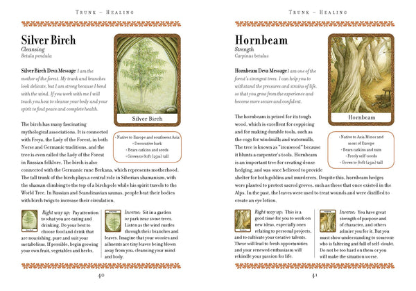 The Wisdom of Trees Oracle Inspirational Card Deck || Jane Struthers ...