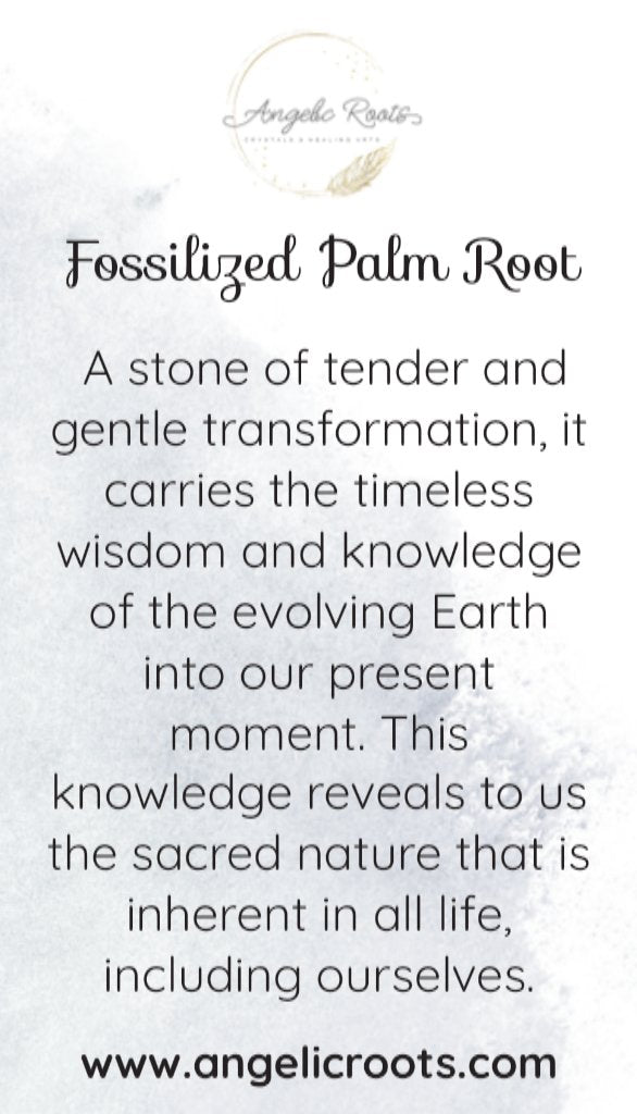 Fossilized Palm Root Crystal Card - Angelic Roots