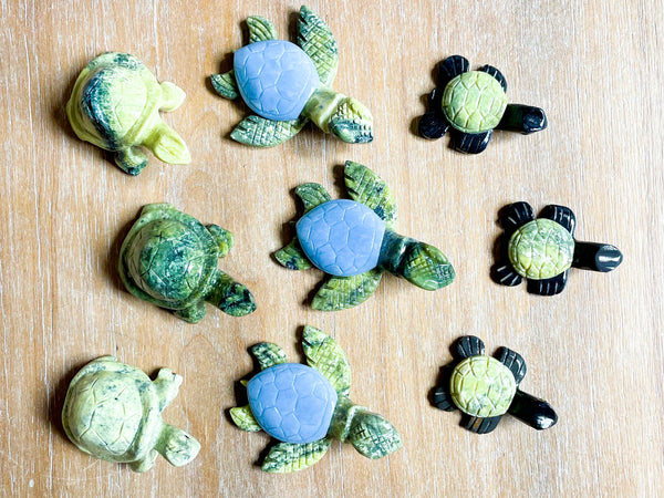 Serpentine Turtle - Angelic Roots