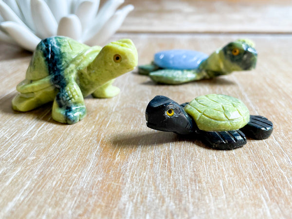 Serpentine Turtle - Angelic Roots