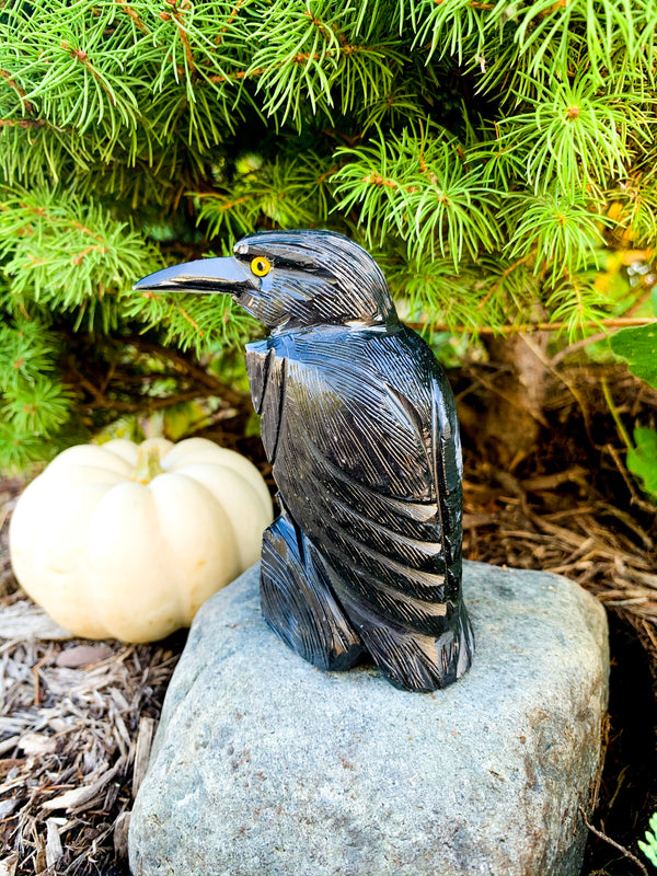 Onyx Raven - Angelic Roots