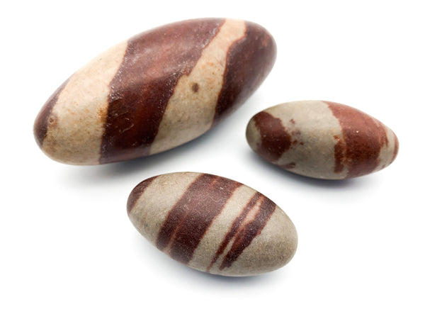 Shiva Lingam - Angelic Roots