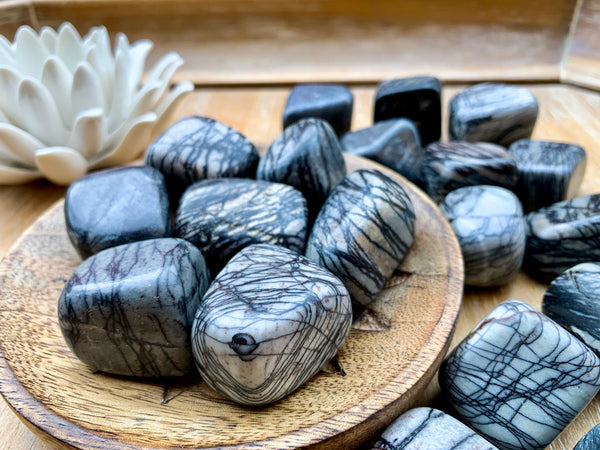 Zebra Jasper Tumbled Stone - Angelic Roots